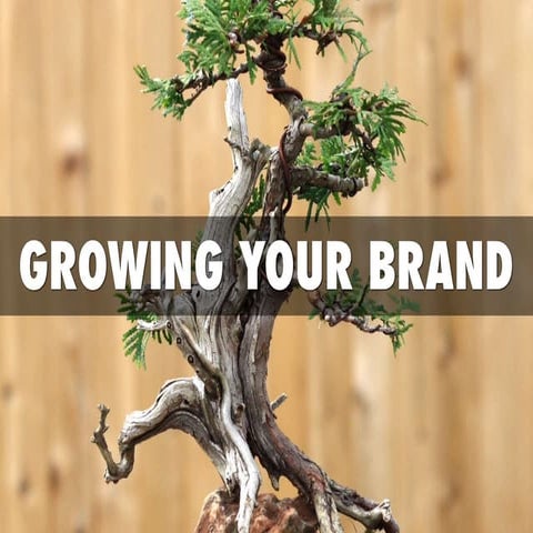 How to grow your brand | PPT