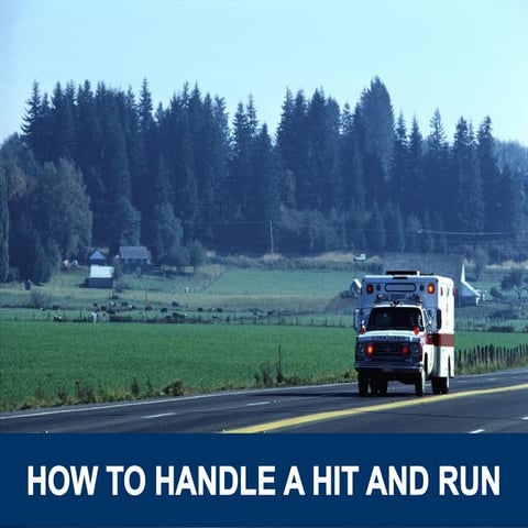 How to Handle a Hit and Run | PDF