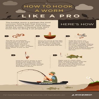 How to Hook a worm like a Pro | PDF