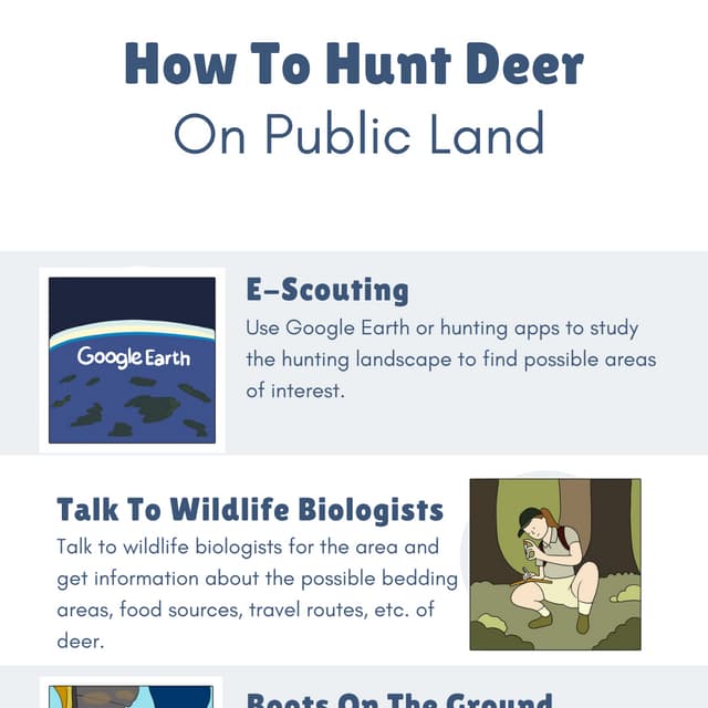 How To Hunt Deer On Public Land | PDF
