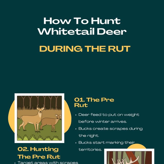 How To Hunt Whitetail Deer During The Rut | PDF | Free Download