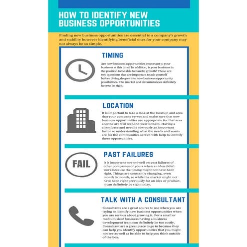 How To Identify New Business Opportunities | PDF