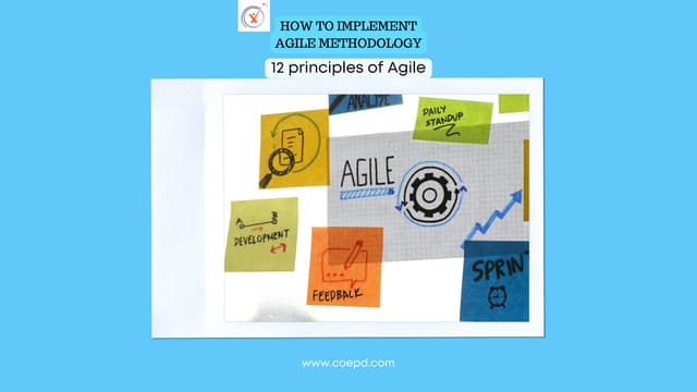 how to implement agile | 12 principles of agile | PDF | Business ... how to implement agile | 12 principles of agile | PDF | Business ...