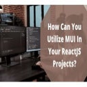How Developers Can Utilize MUI In ReactJS Projects? | PPT