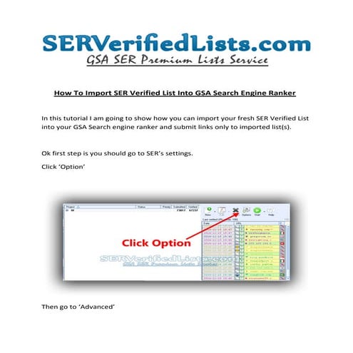 How to import ser verified list into gsa search engine ranker | PDF