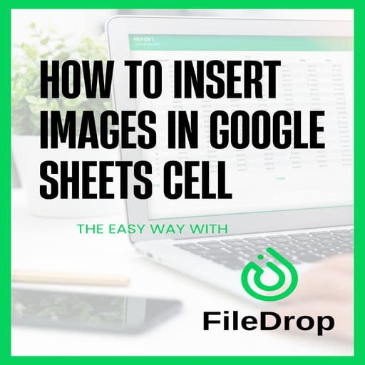 How to Insert Images in Google Sheets Cell The Easy Way.pdf