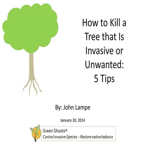 Tree stump removal methods | PPTX
