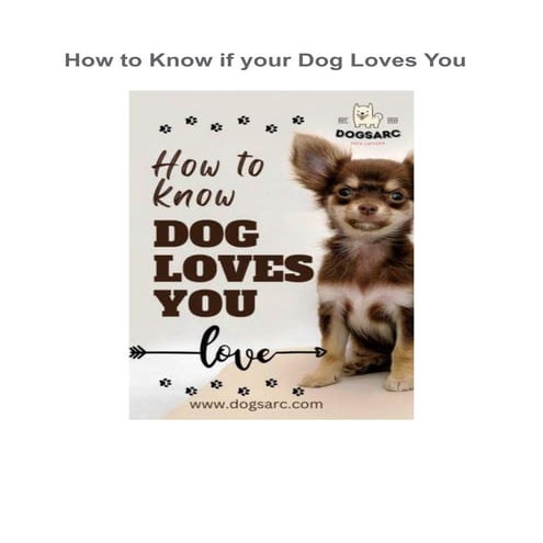 How to Know if your Dog Loves You.pdf | Dogs | Pets