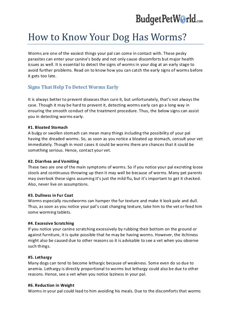 Worms In Dog How To Tell If Your Dog Has Worms