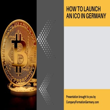 Guide on How to Launch an ICO in Singapore | PDF