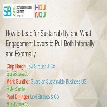 How to lead for sustainability, and what engagement levers to pull both ...