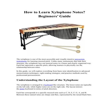 How to Learn Xylophone Notes? Beginners’ Guide | DOCX