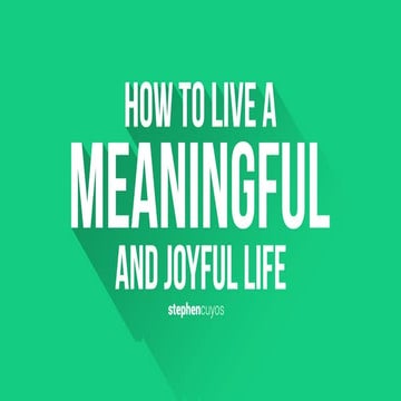 How To Live With Meaning & Joy | PDF