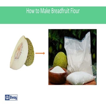 How to make breadfruit flour full guide in 2024.pdf