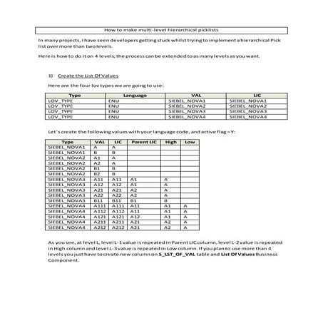 How to make multi level hierarchical picklists in Siebel | DOCX