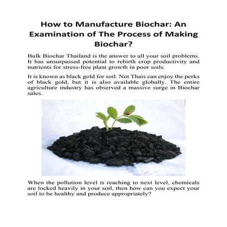 Do You Know the Examination of the Process of Making Biochar?