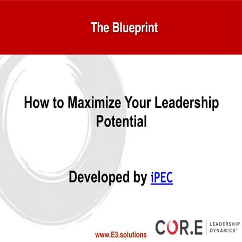 How to maximize your leadership potential | PDF