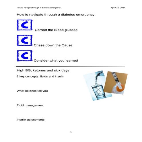 How to navigate through a diabetes emergency | PDF