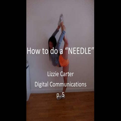 How To Needle | PPTX | Physical Therapy | Wellness