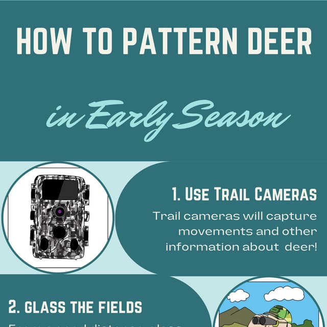How To Pattern Deer In Early Season | PDF