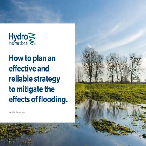 How to plan an effective and reliable strategy to mitigate the effects ...