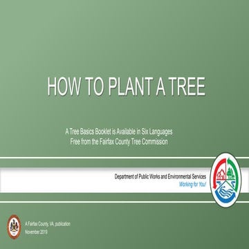 How to Plant a Tree | PPTX