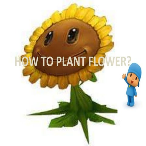 How to plant a seed | PPTX