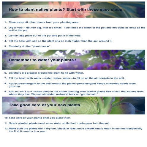 How to plant native plants… | PDF