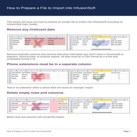 Infusionsoft: How to prepare a file to import | PDF