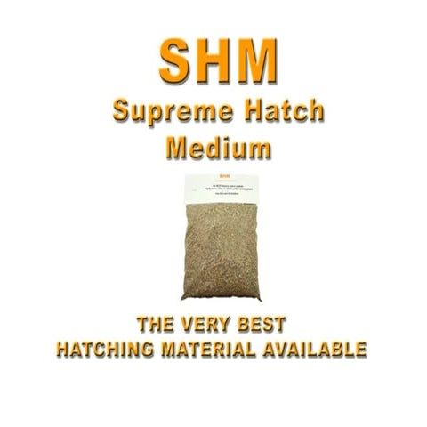 How to Prepare SHM | PPT