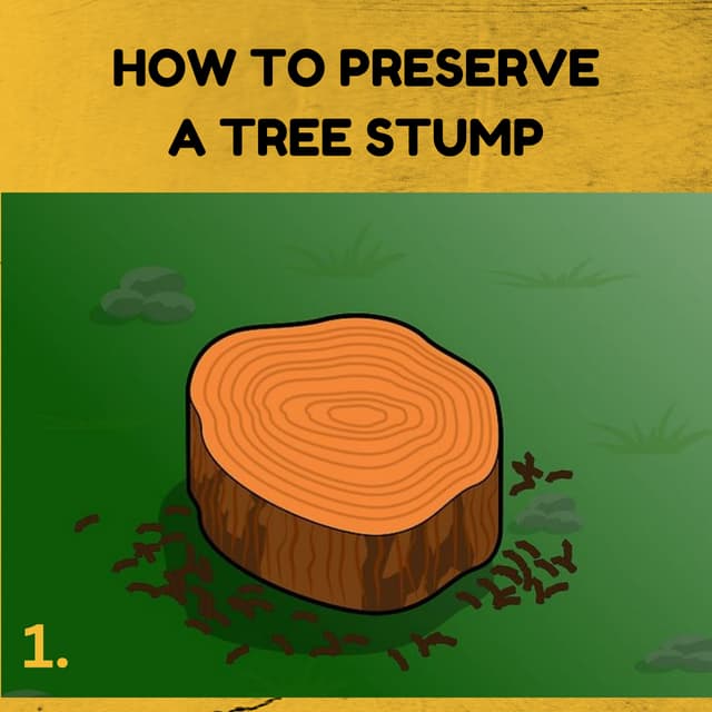 how to preserve a tree stump.pdf