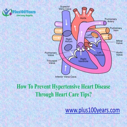 How to prevent hypertensive heart disease through heart care tips | PPTX