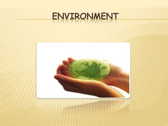 10 ways to protect the environment | PPT