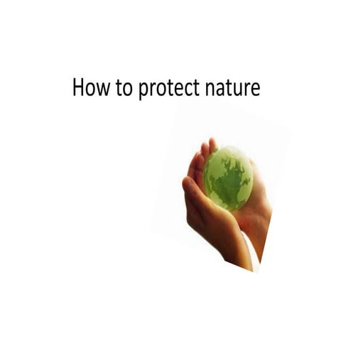 How to protect nature. Environmental problems | PPTX