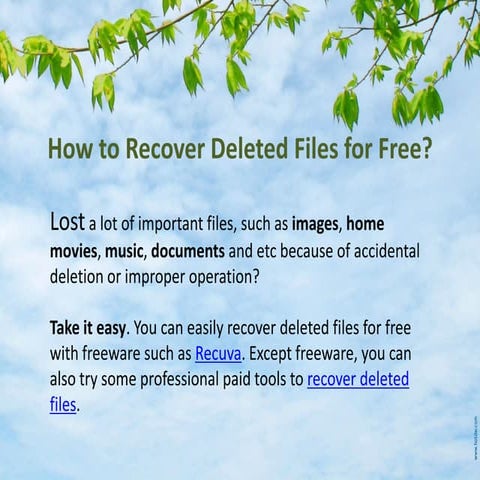 How to Recover Deleted Files for Free with Recuva | PDF
