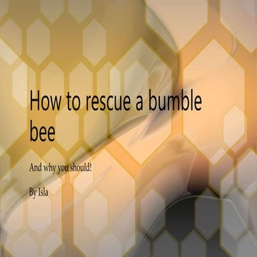 Home Learning Challenge - How to rescue a bumble bee | PPTX