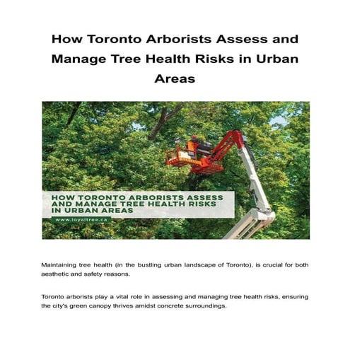 How Toronto Arborists Assess and Manage Tree Health Risks in Urban ...
