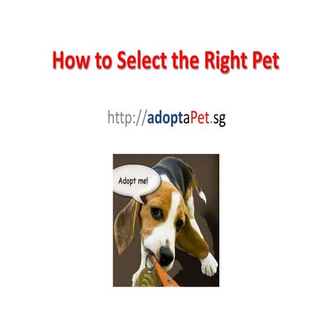 How To Select The Right Pet | PPTX