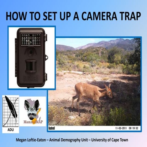 HOW TO SET UP A CAMERA TRAP | PPTX