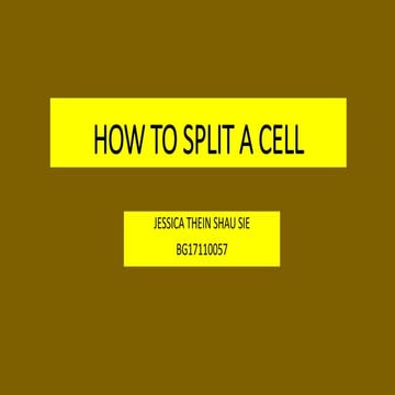How to split a cell | PPT