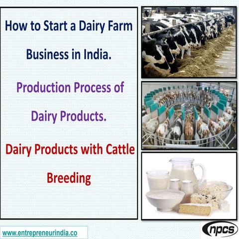How to Start a Dairy Farm Business in India. Production Process of ...