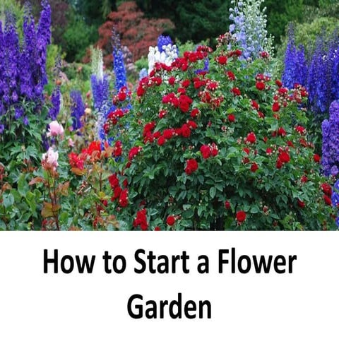 How to start a flower garden | PPTX | Gardening | Home & Garden