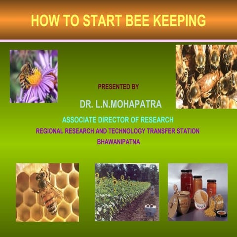 How to start beekeeping | PPT
