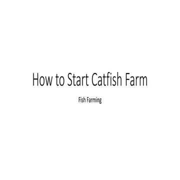 How to start catfish farm | PPTX