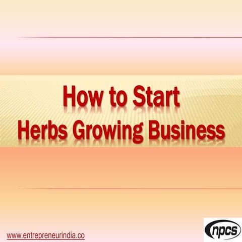 How to Start Herbs Growing Business | PPTX