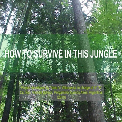 How to survive in this jungle | PPT