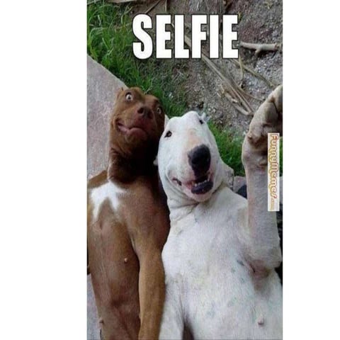 How to take a Selfie | PPTX