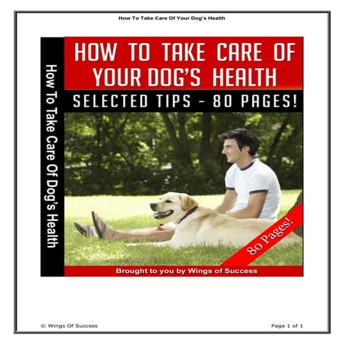 How to Take Care of Your Dogs Through All Life Stages? | PDF