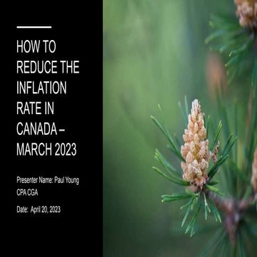 How to tame Inflation in Canada - March 2023.pptx
