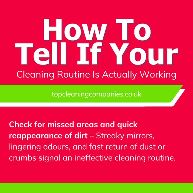 How To Tell If Your Cleaning Routine Is Actually Working | PDF